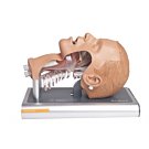 Ambu airway management trainer, de trainer voor intubatietechnieken.